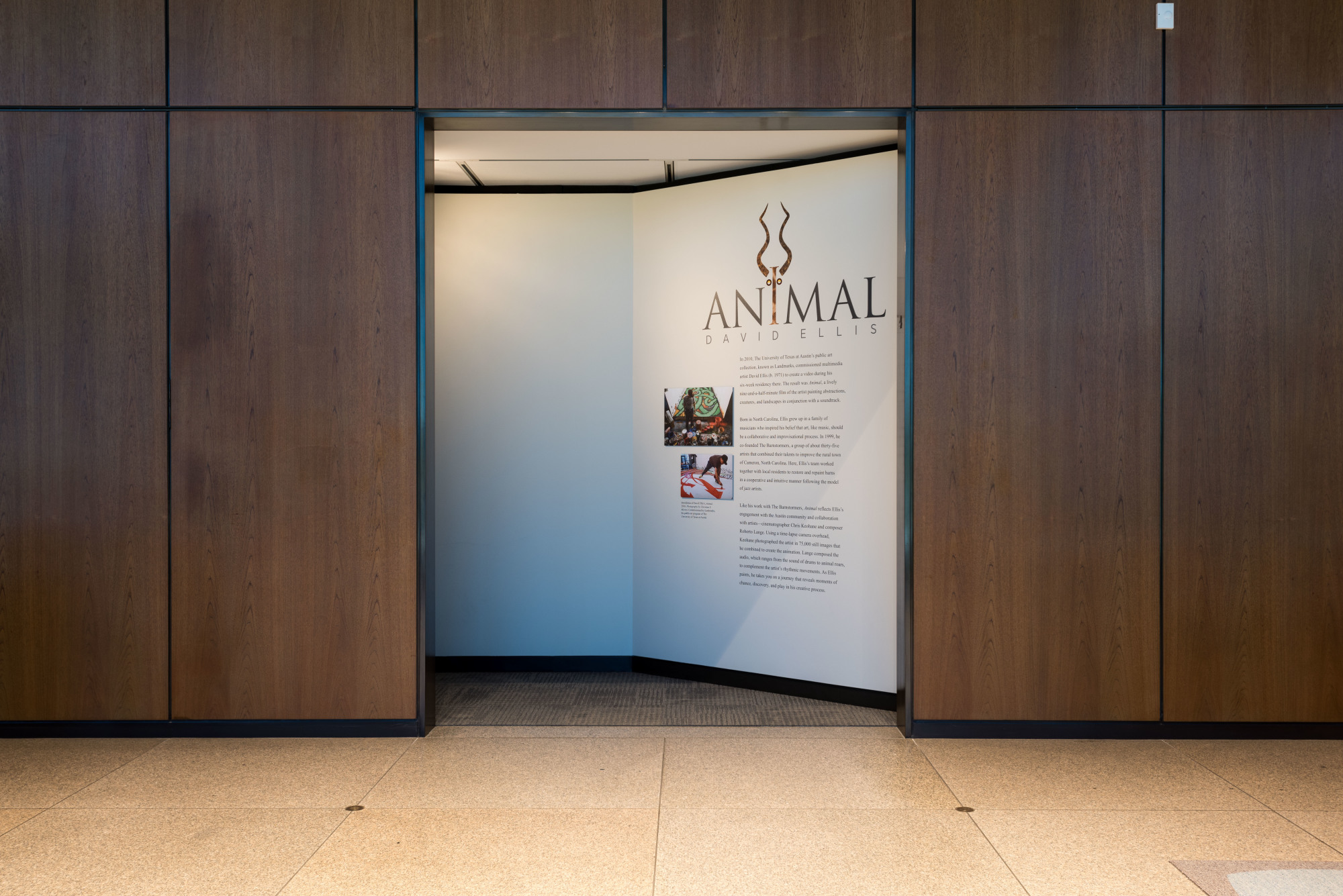 David Ellis: Animal | Amon Carter Museum of American Art
