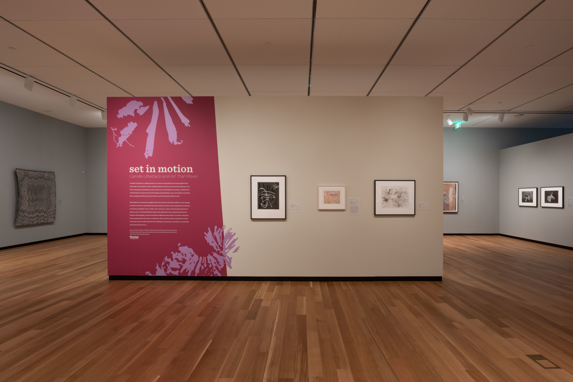 Set in Motion: Camille Utterback and Art That Moves | Amon Carter ...