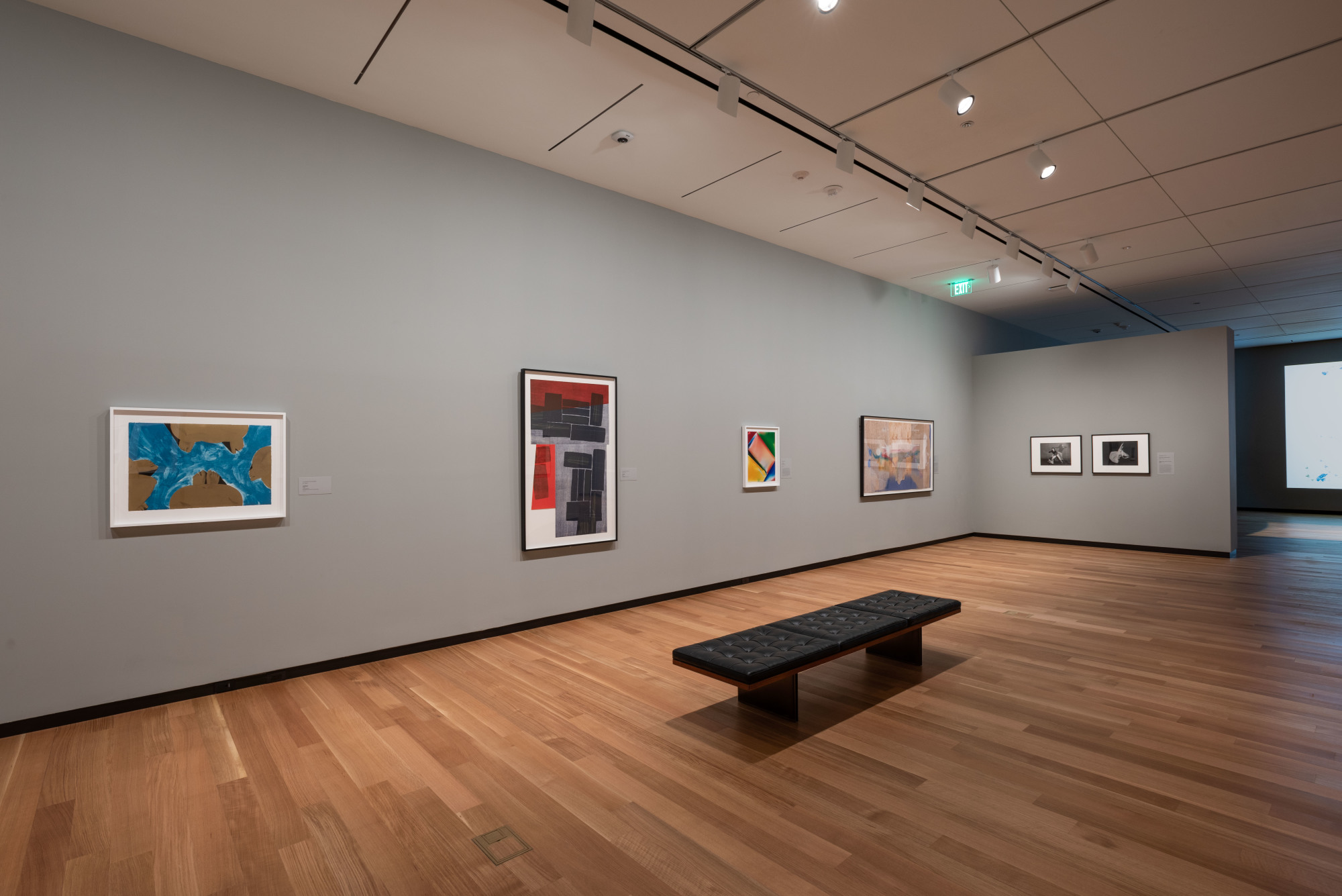 Set in Motion: Camille Utterback and Art That Moves | Amon Carter ...