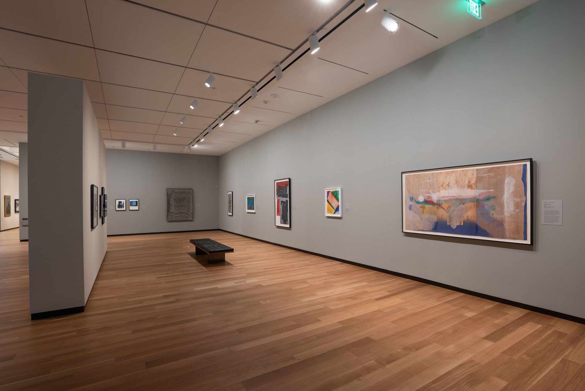 Set in Motion: Camille Utterback and Art That Moves | Amon Carter ...