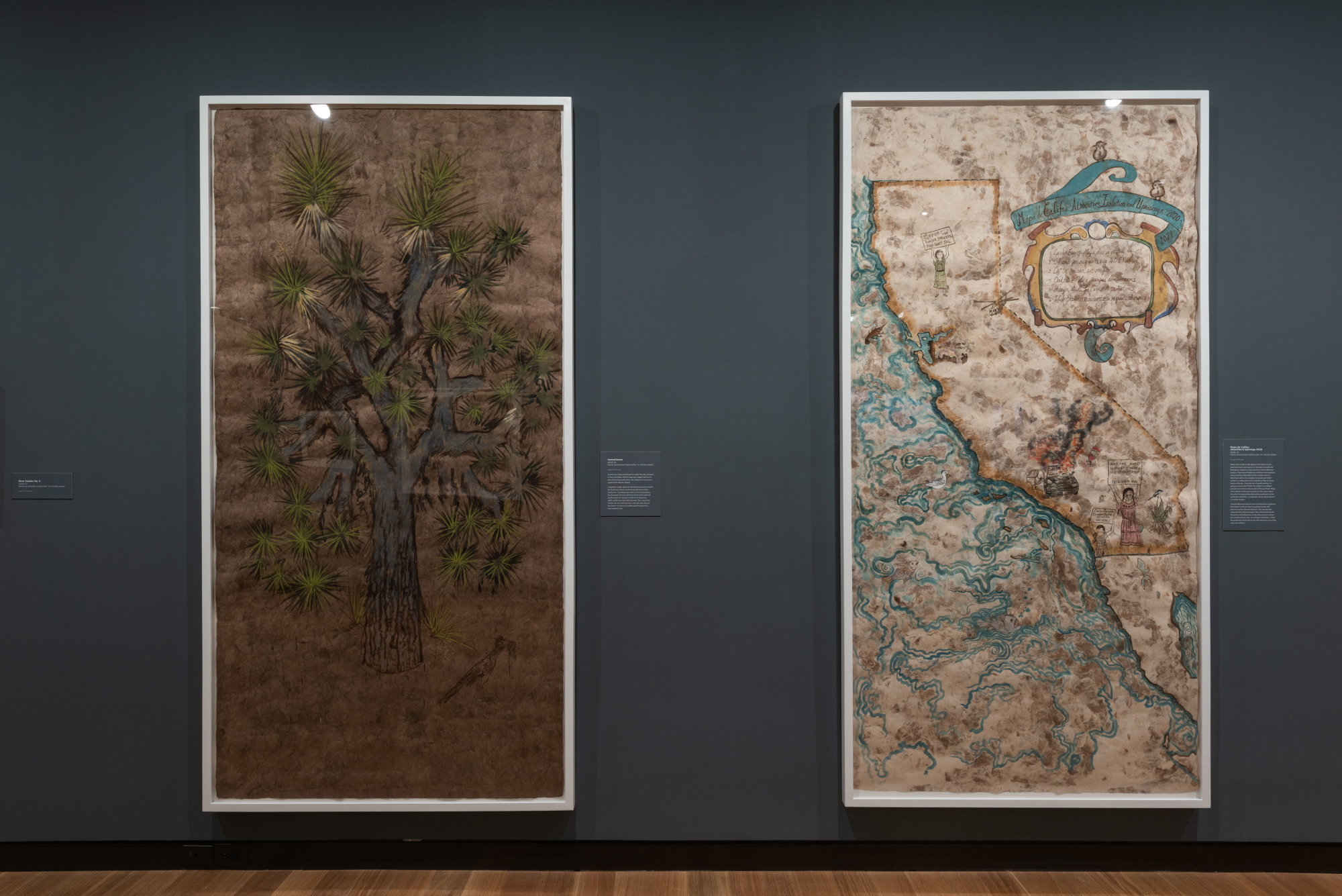 Sandy Rodriguez in Isolation | Amon Carter Museum of American Art