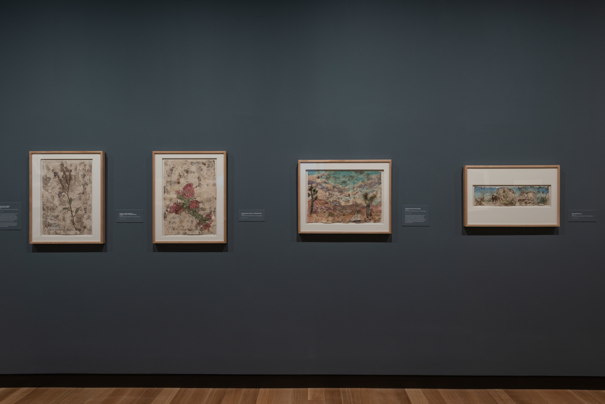 Sandy Rodriguez in Isolation | Amon Carter Museum of American Art