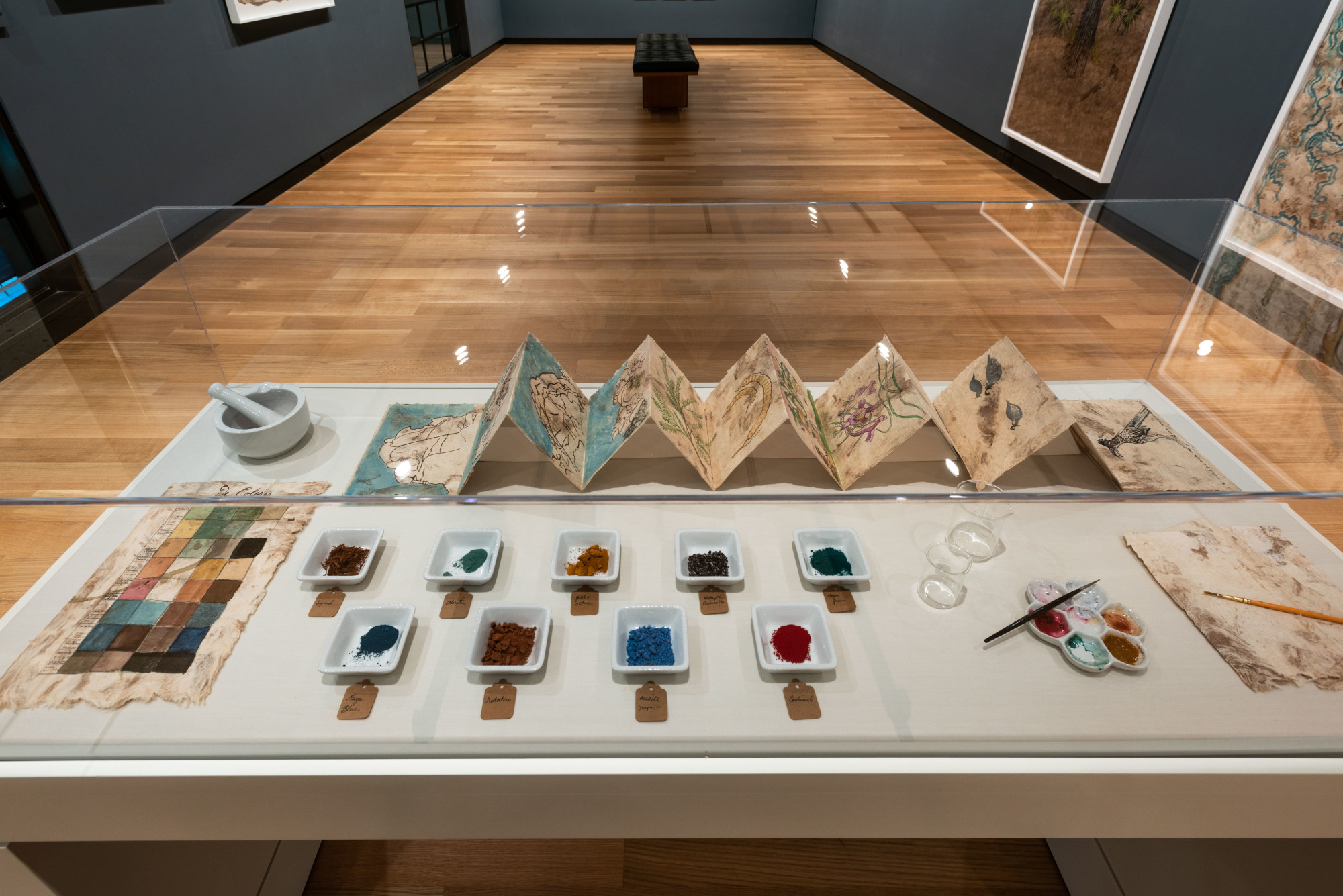 Sandy Rodriguez in Isolation | Amon Carter Museum of American Art