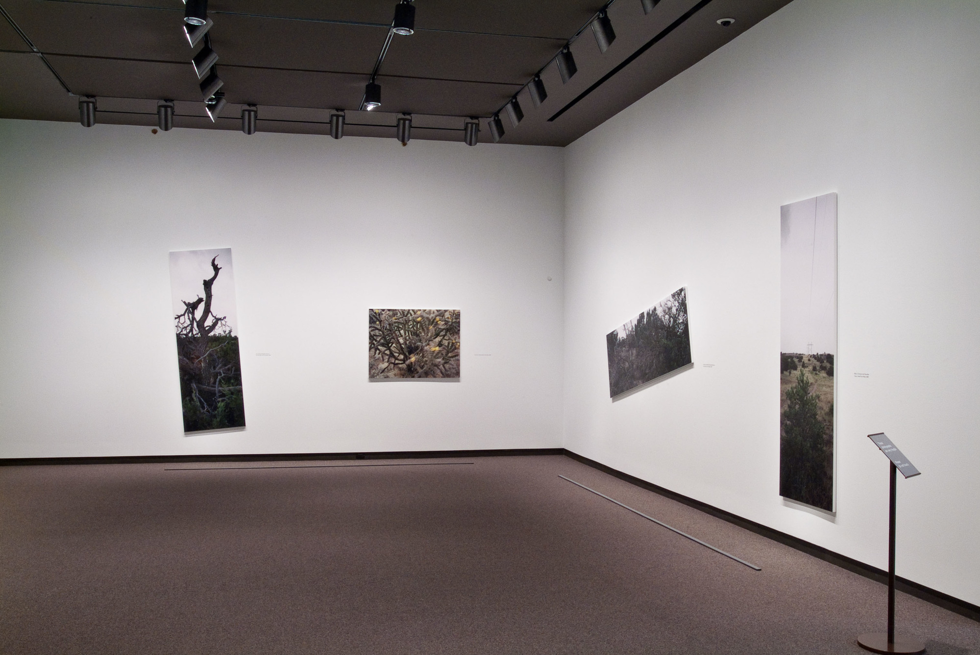 Subhankar Banerjee: Where I Live I Hope to Know | Amon Carter Museum of ...
