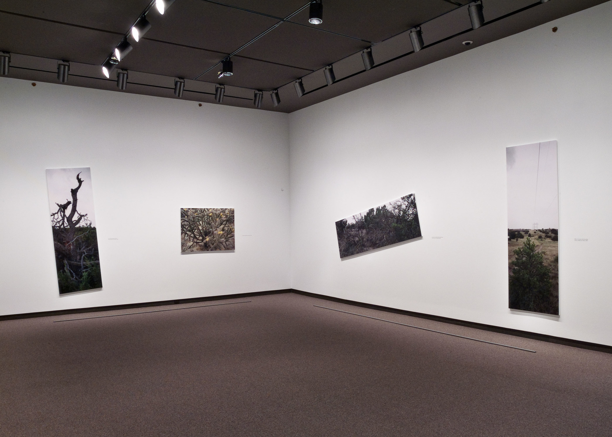 Subhankar Banerjee: Where I Live I Hope to Know | Amon Carter Museum of ...