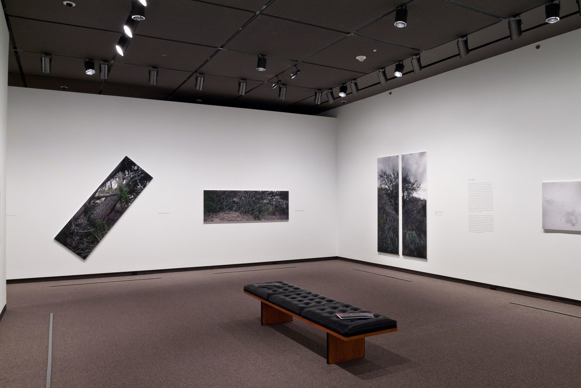 Subhankar Banerjee: Where I Live I Hope to Know | Amon Carter Museum of ...