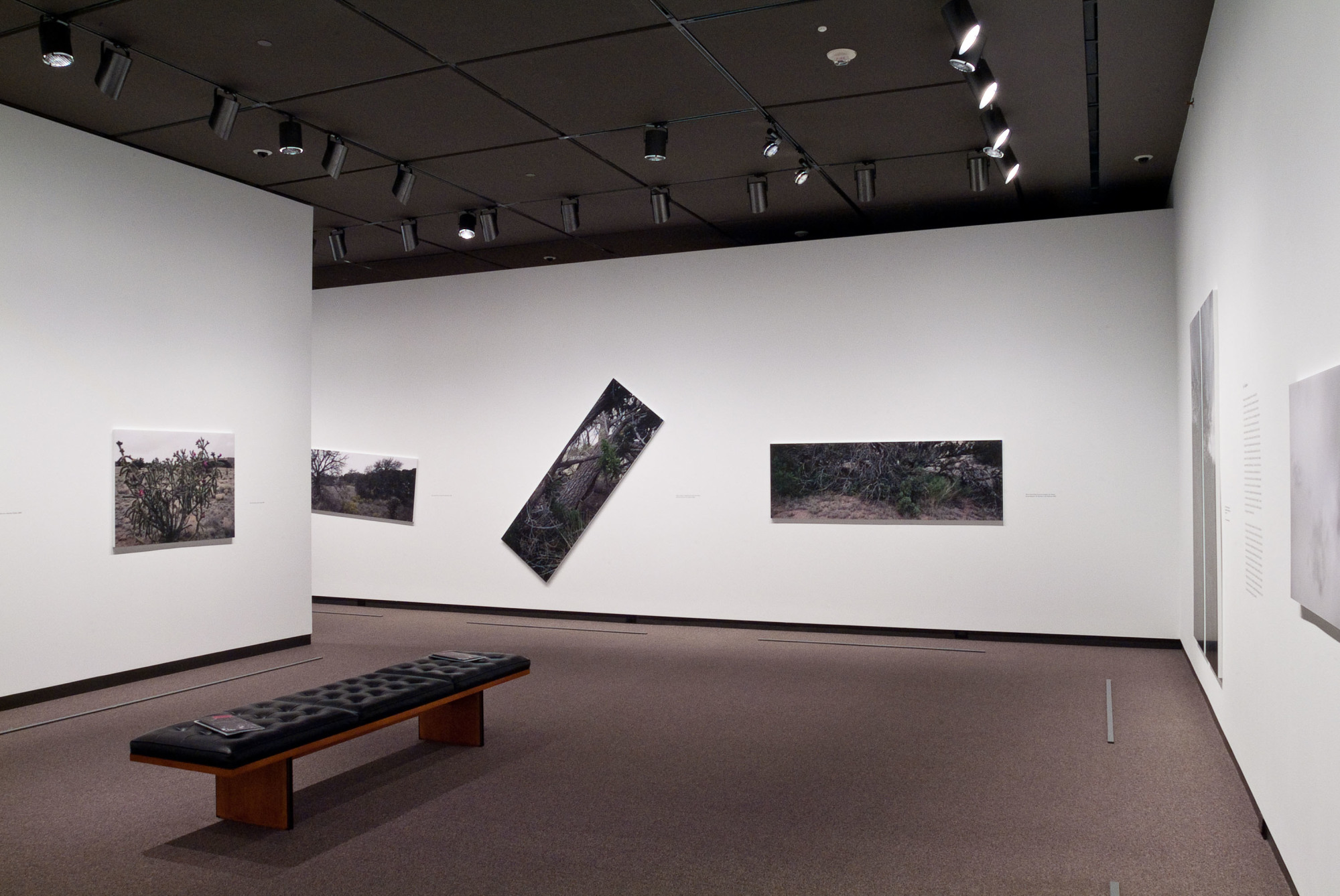 Subhankar Banerjee: Where I Live I Hope to Know | Amon Carter Museum of ...