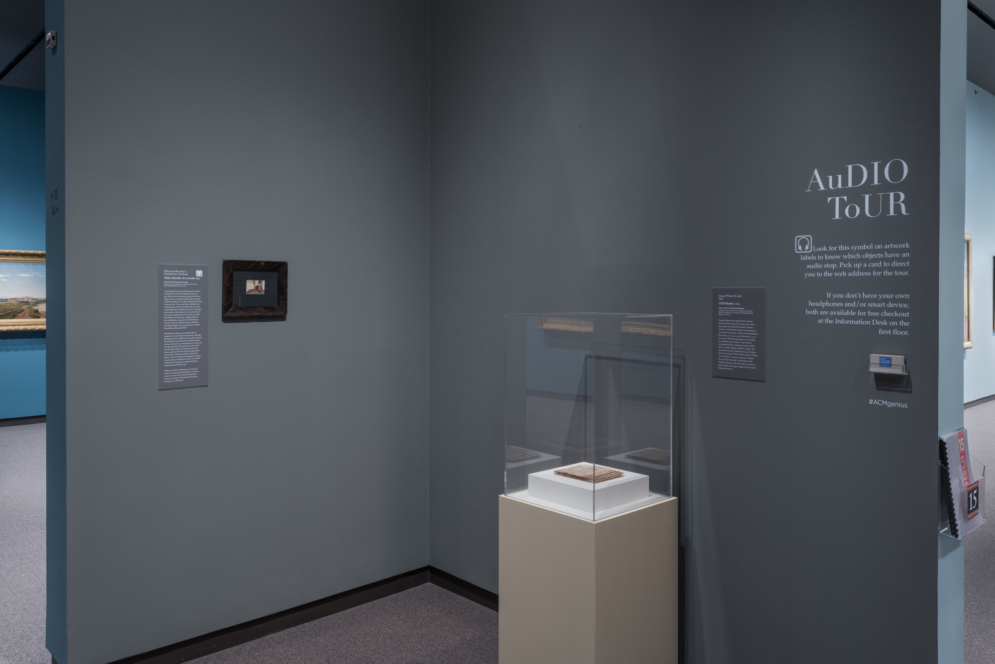 Self-Taught Genius: Treasures from the American Folk Art Museum | Amon ...