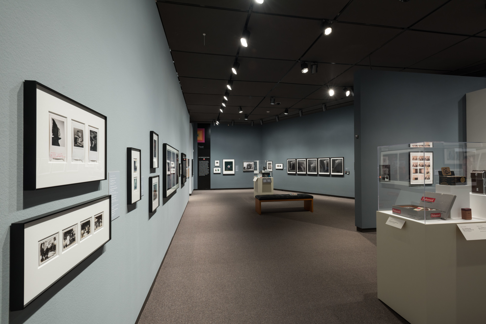 The Polaroid Project: At the Intersection of Art & Technology | Amon ...