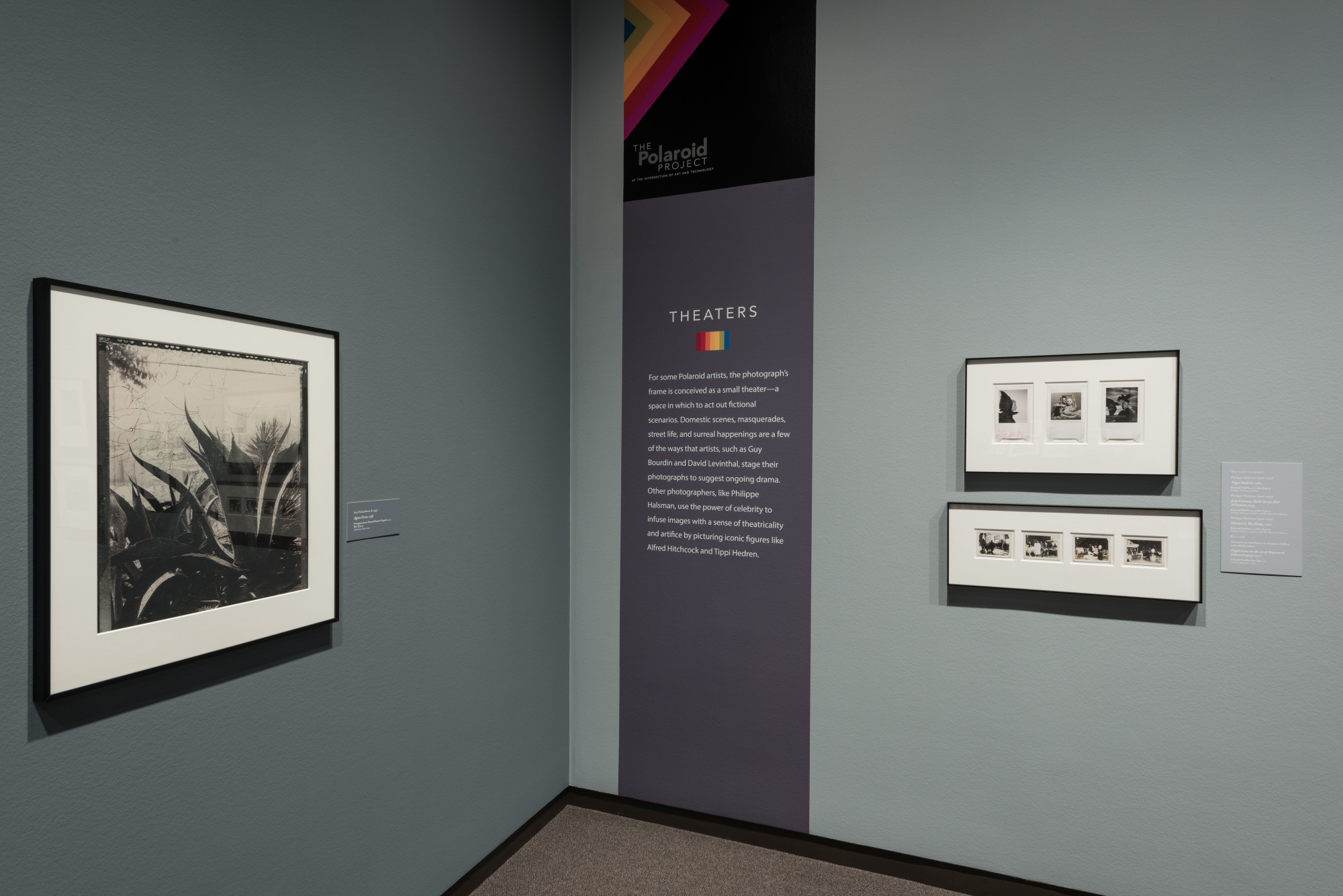 The Polaroid Project: At the Intersection of Art & Technology | Amon ...