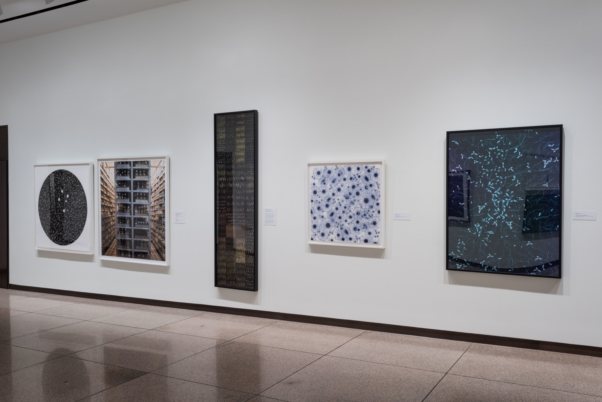 Dornith Doherty: Archiving Eden | Amon Carter Museum of American Art