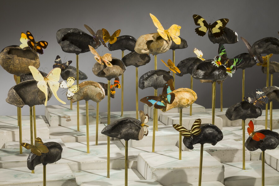 Artist Dario Robleto Culminates Multiyear Exploration of NASA’s Golden ...