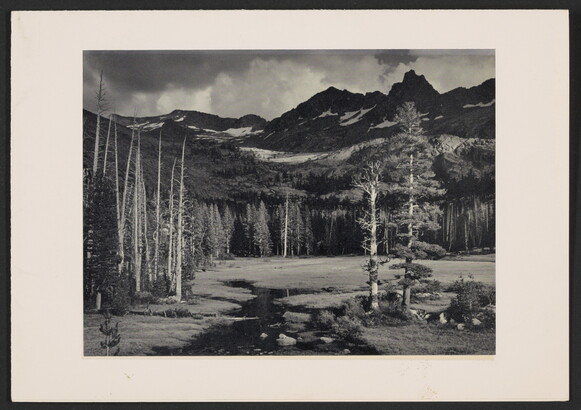 Greeting card from Ansel and Virginia Adams. April 20, 1965. | Amon ...