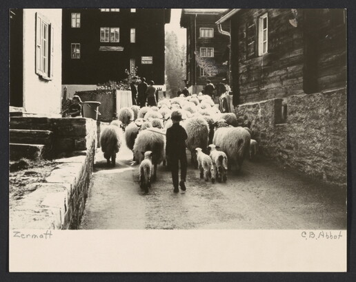 C. B. Abbott [Bea and Hazel] to Laura Gilpin, Betsy Forster. n.d ...