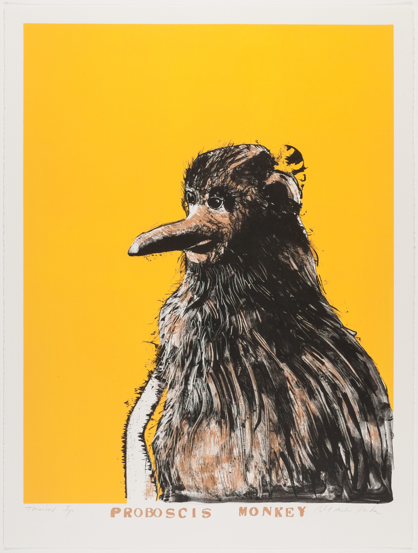 Proboscis Monkey | Amon Carter Museum of American Art