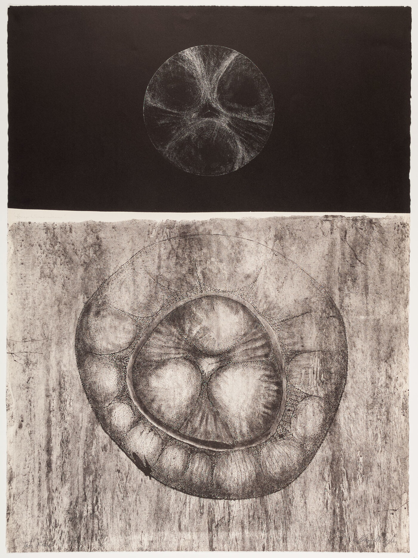 Homage to Susan Jonas | Amon Carter Museum of American Art