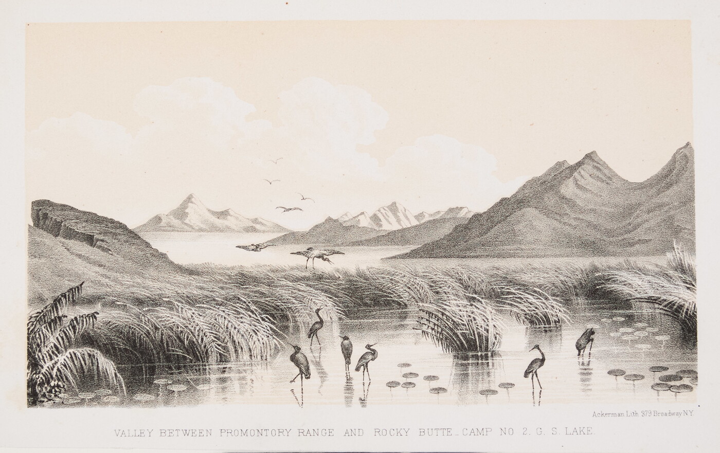 Valley Between Promontory Range and Rocky Butte--Camp No. 2. G. S. Lake ...