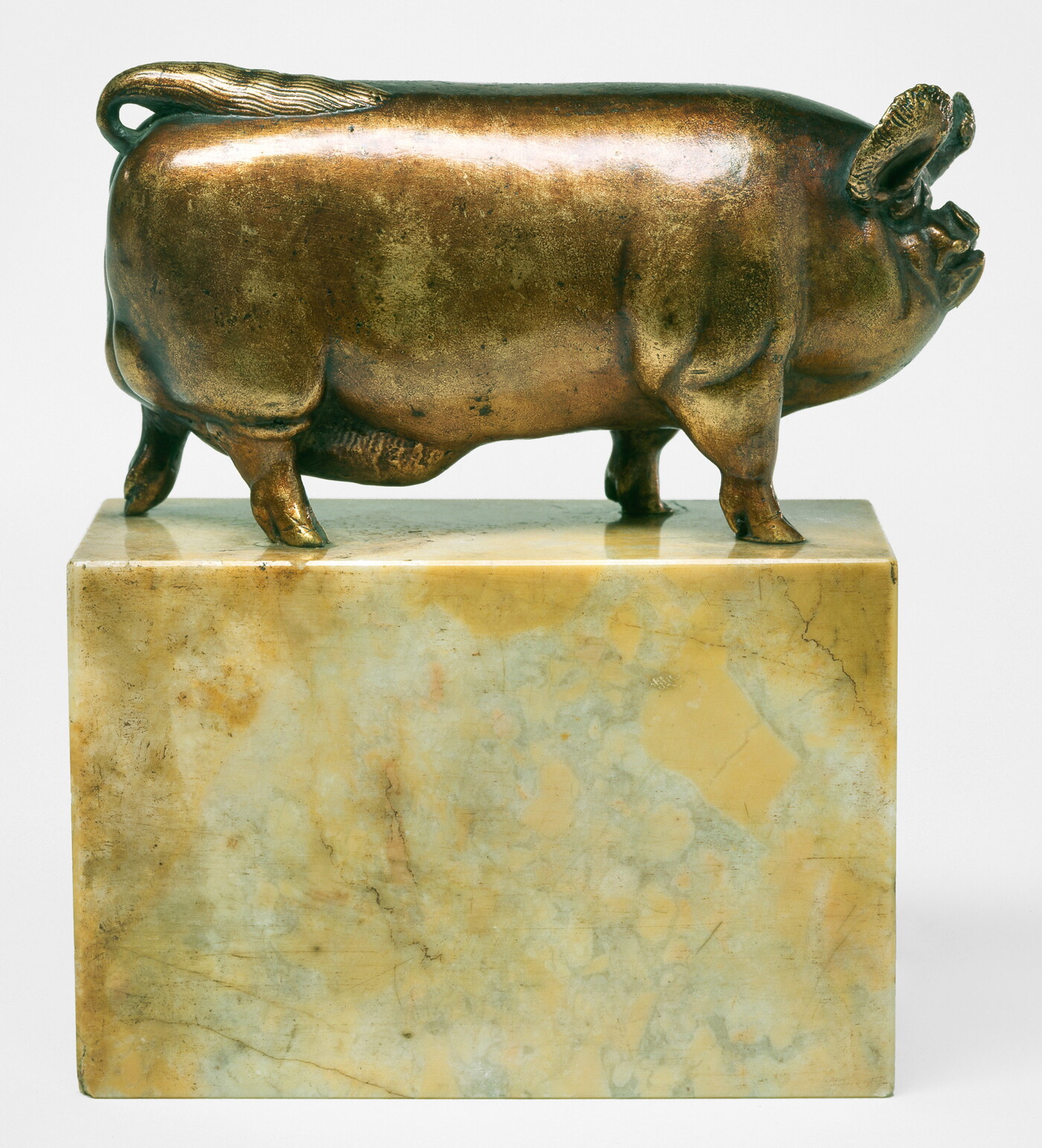 Middle White Boar: Wharfedale Deliverance | Amon Carter Museum of ...