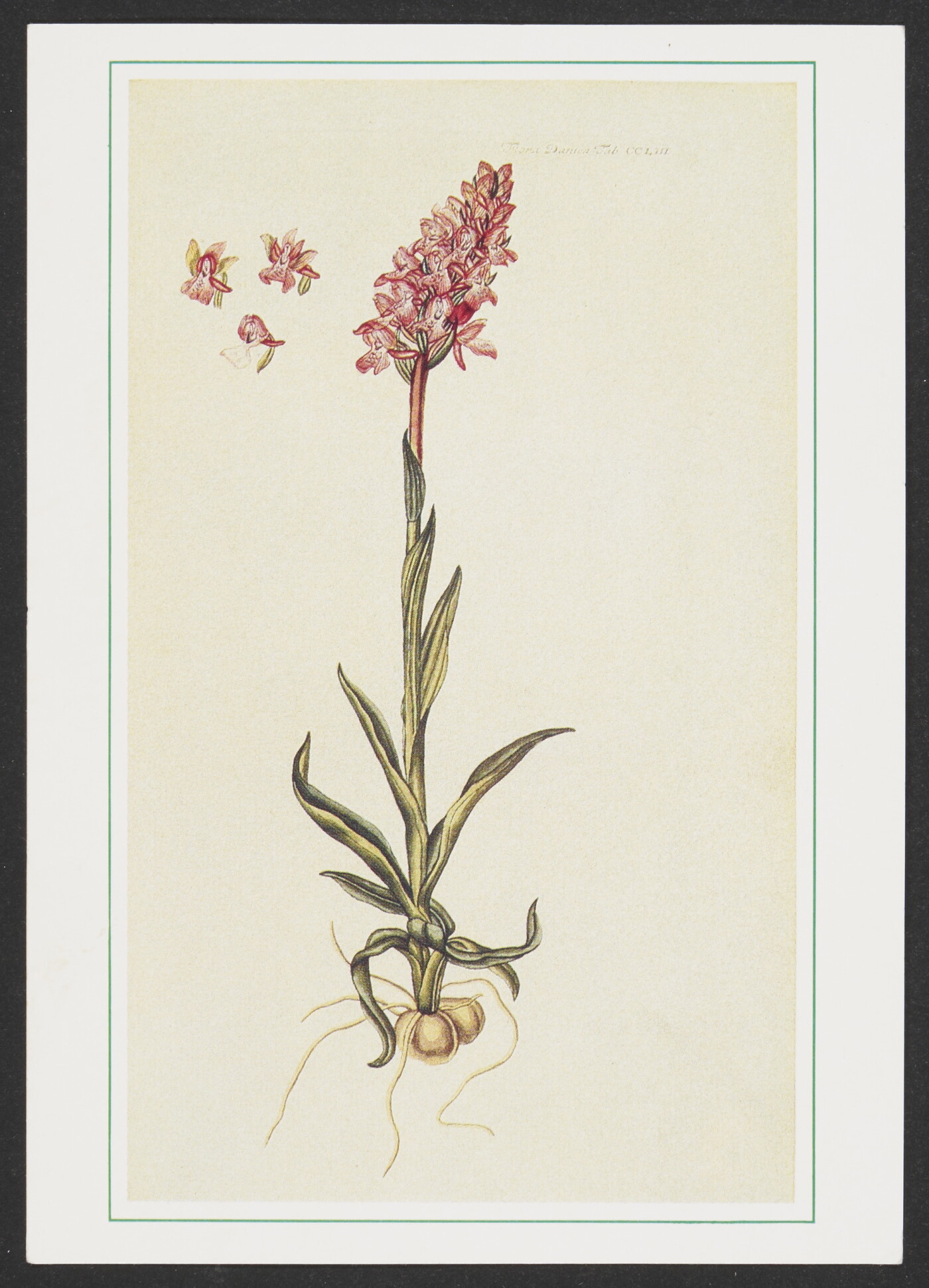 Ruby Reid Thompson to Nell Dorr. August 4, 1981. | Amon Carter Museum ...