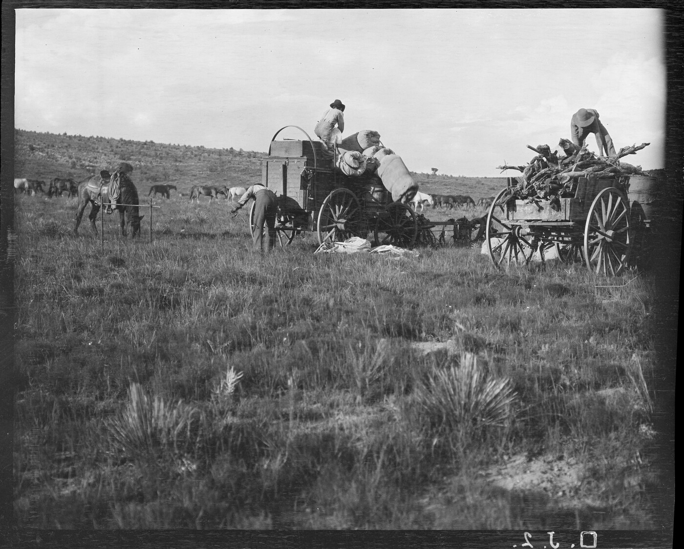 Some Block cowboys helping the wagon cook pitch camp on the range of ...