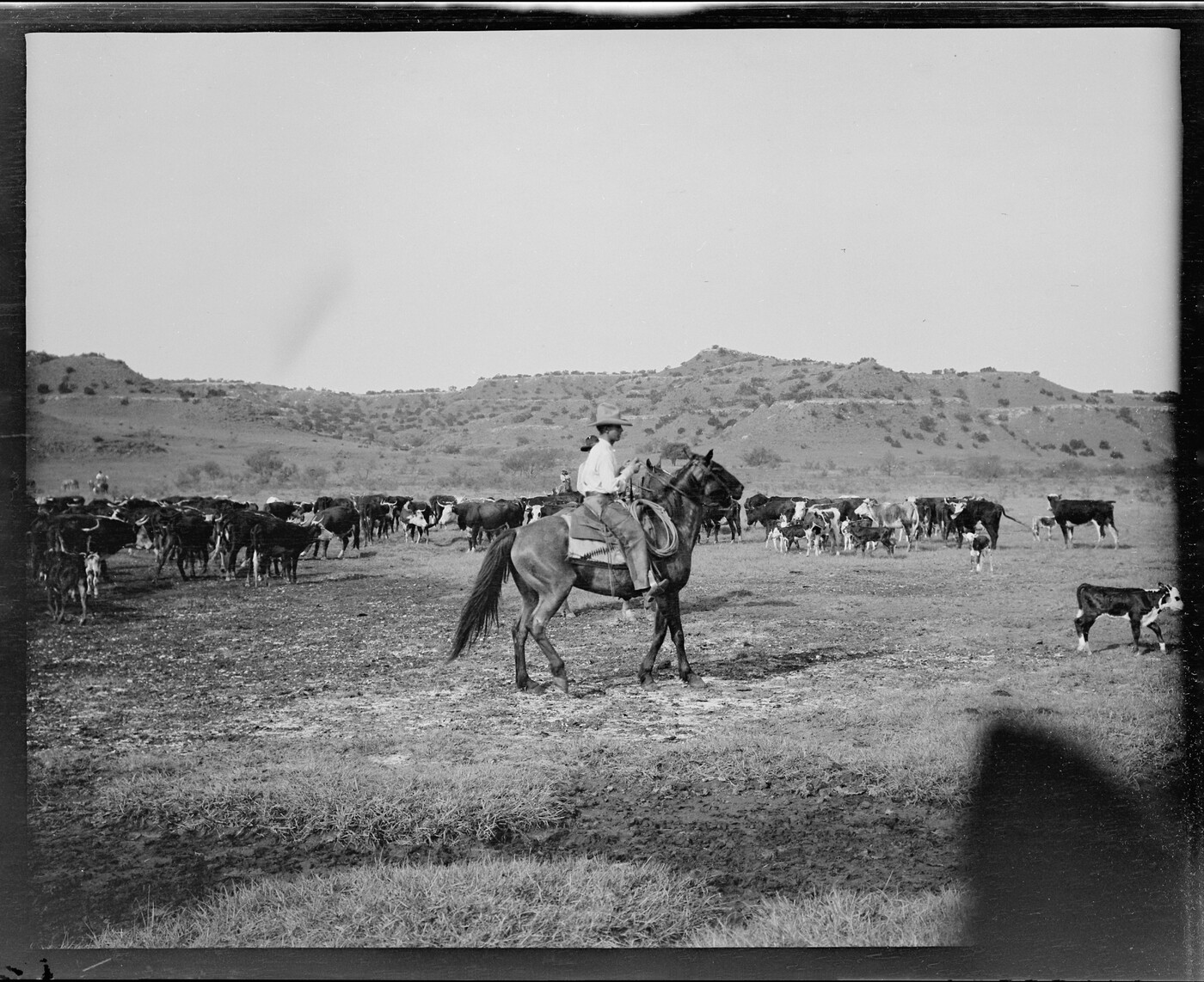 Some Shoe Bar boys getting ready to work a herd of cattle on the range ...