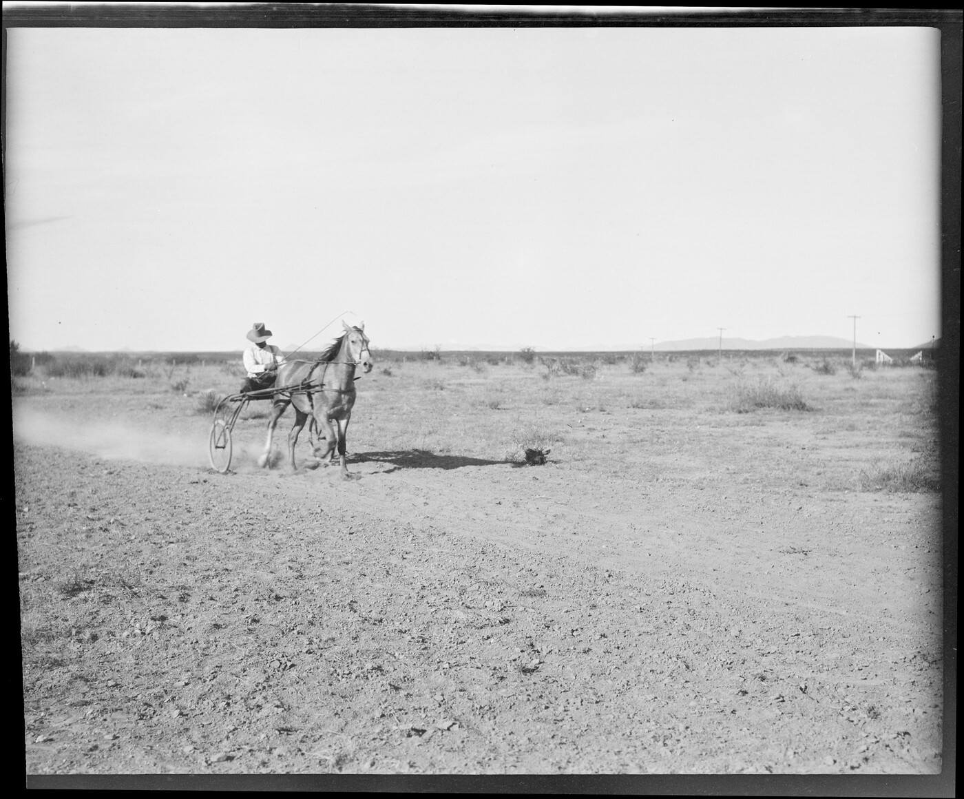 [Buggy] | Amon Carter Museum of American Art