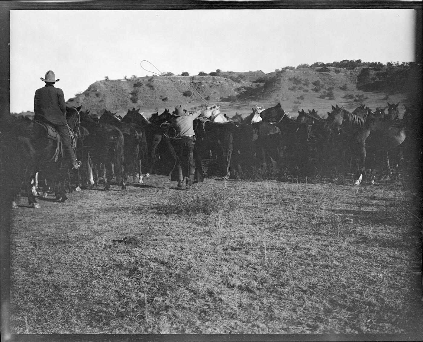 The JA cowhands roping out their mounts from the remuda in the early ...