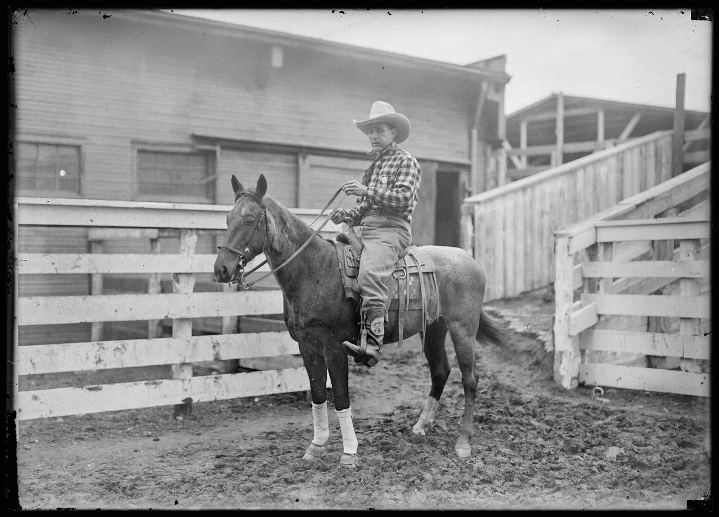 Texas rodeo performer. | Amon Carter Museum of American Art