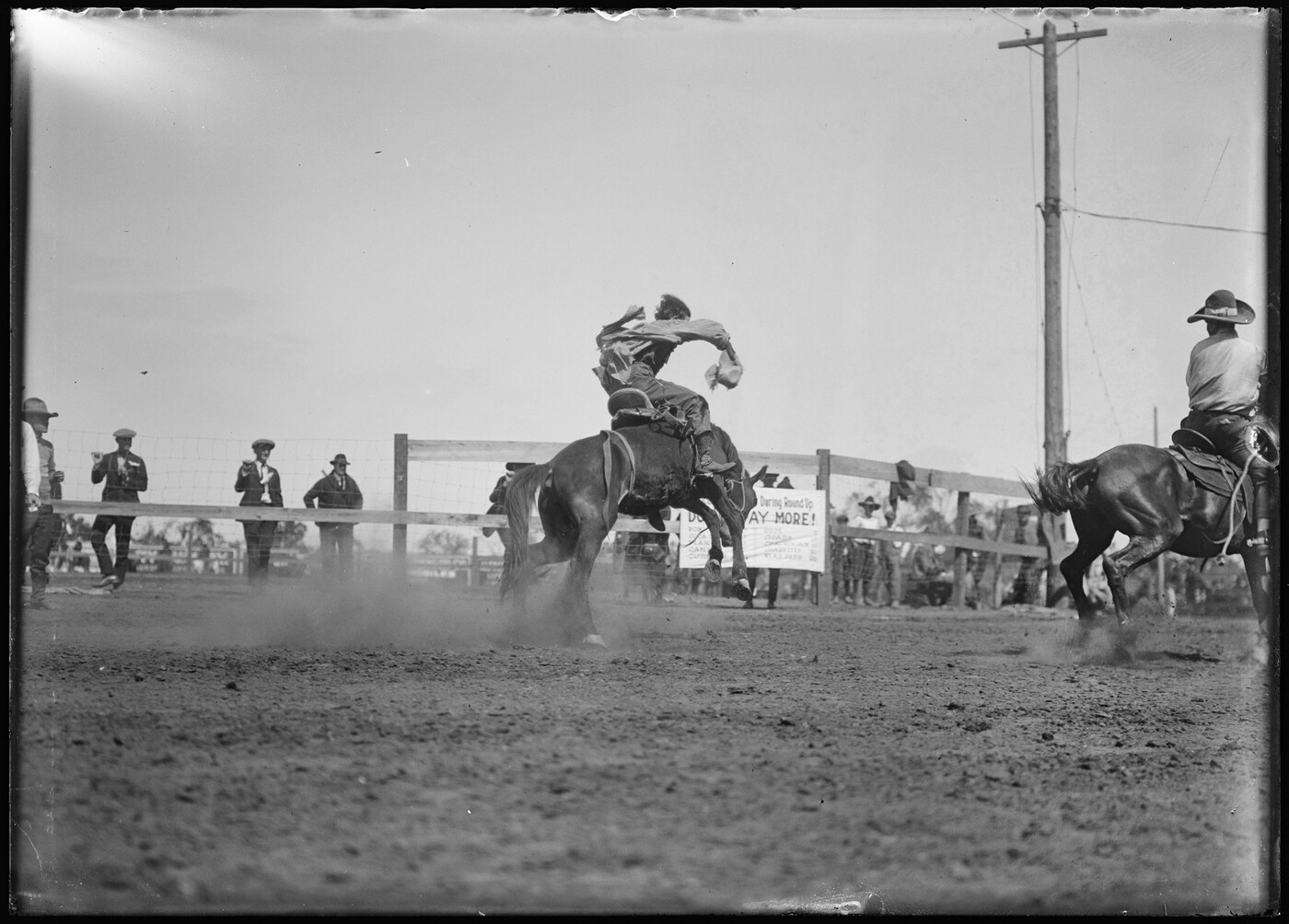 Texas rodeo bronc rider. | Amon Carter Museum of American Art