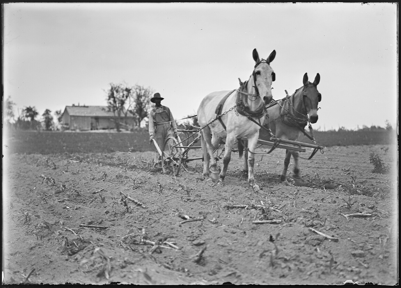 Typical scene of the early settlers on the plains of West Texas, the ...