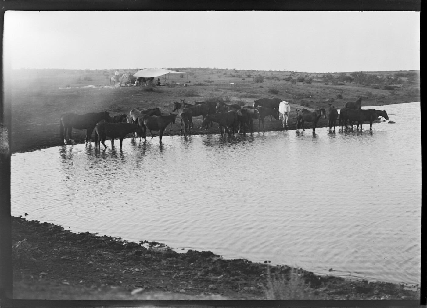 Remuda and range camp. JA Ranch, Texas. | Amon Carter Museum of ...