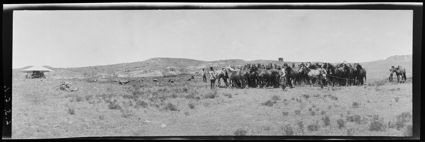 Holding the remuda with a rope corral while "catching up" the mounts ...