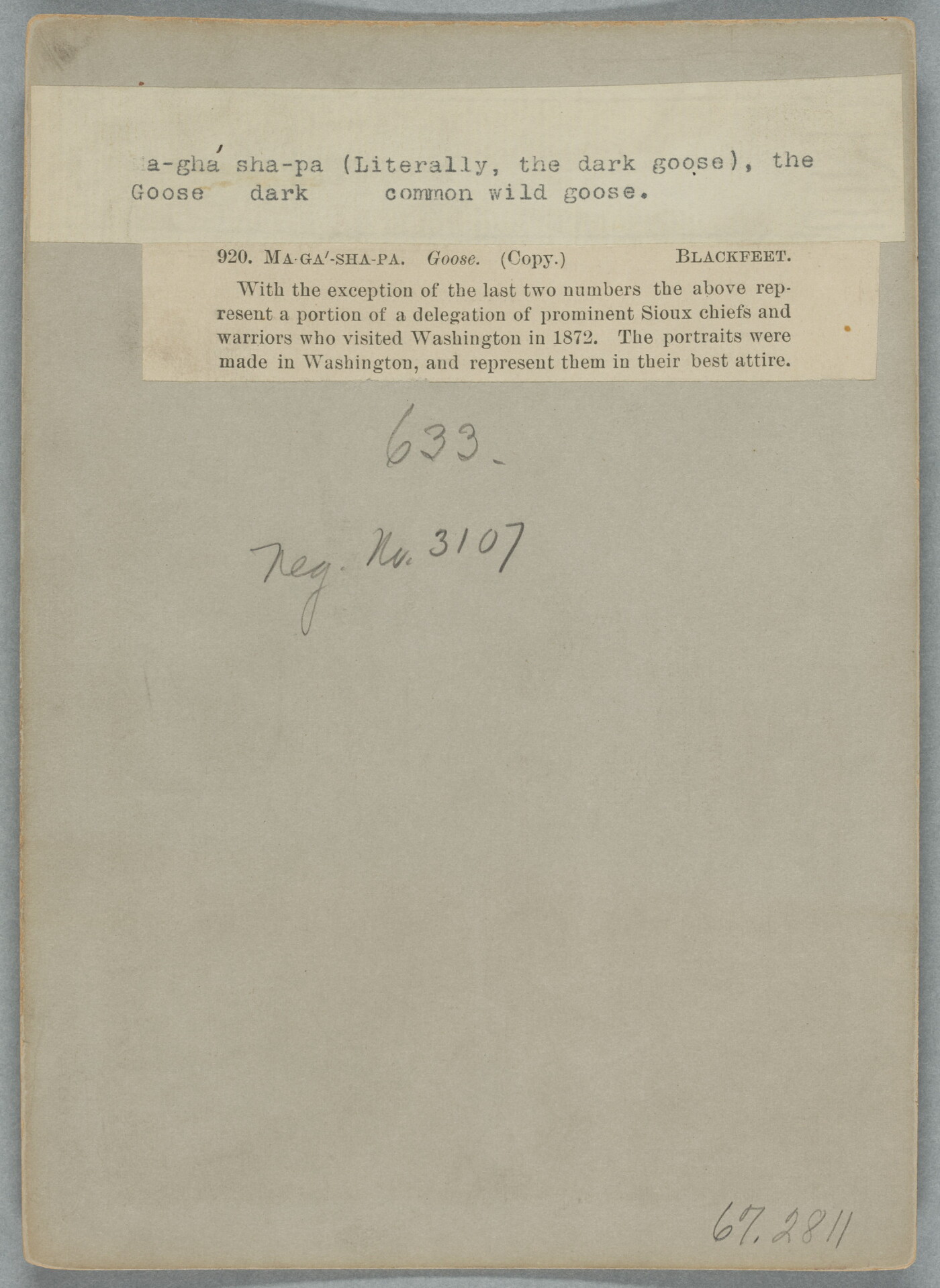 Ma-gha sha-pa, the Dark Goose | Amon Carter Museum of American Art