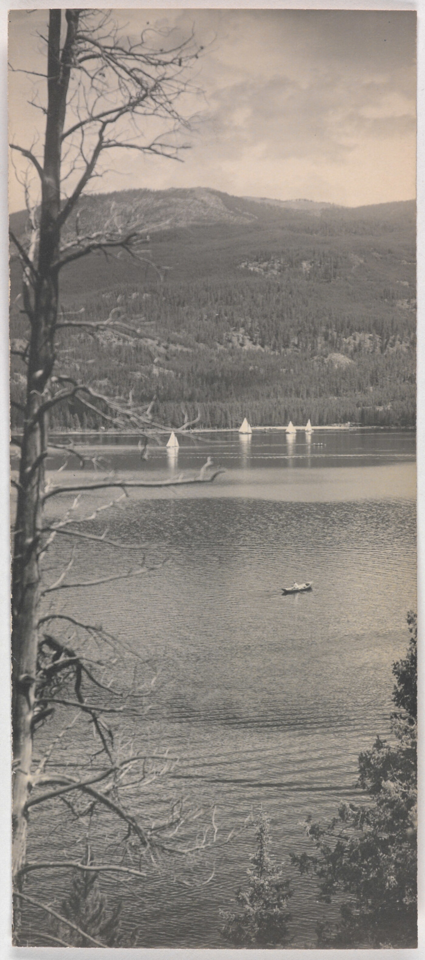 [Boats on a lake] | Amon Carter Museum of American Art