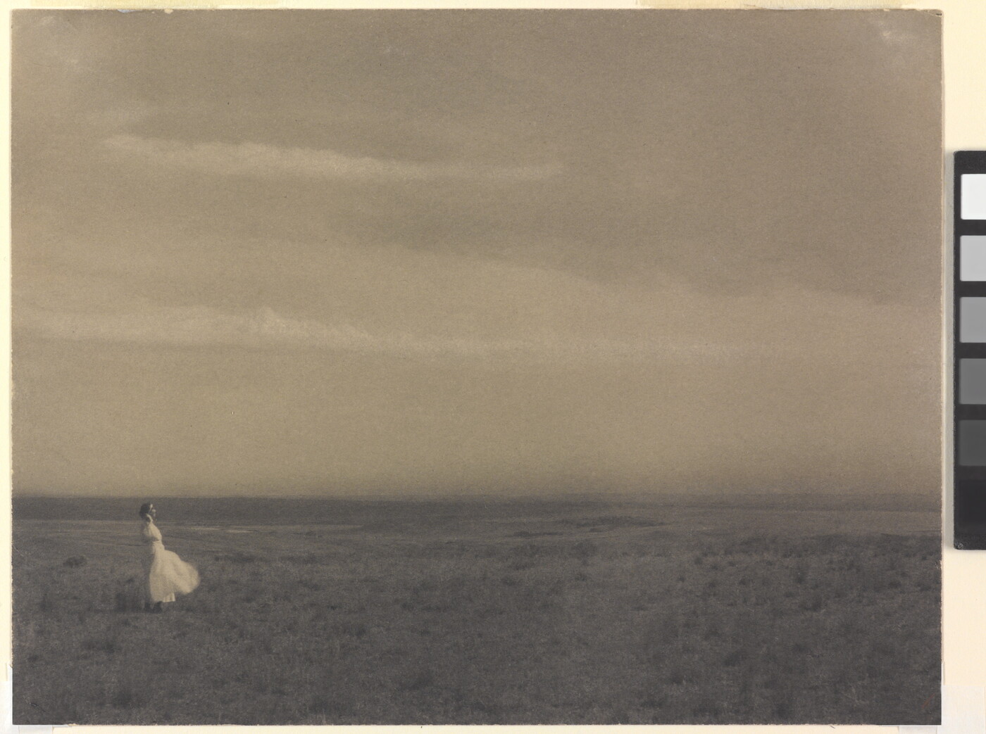 The Prairie | Amon Carter Museum of American Art