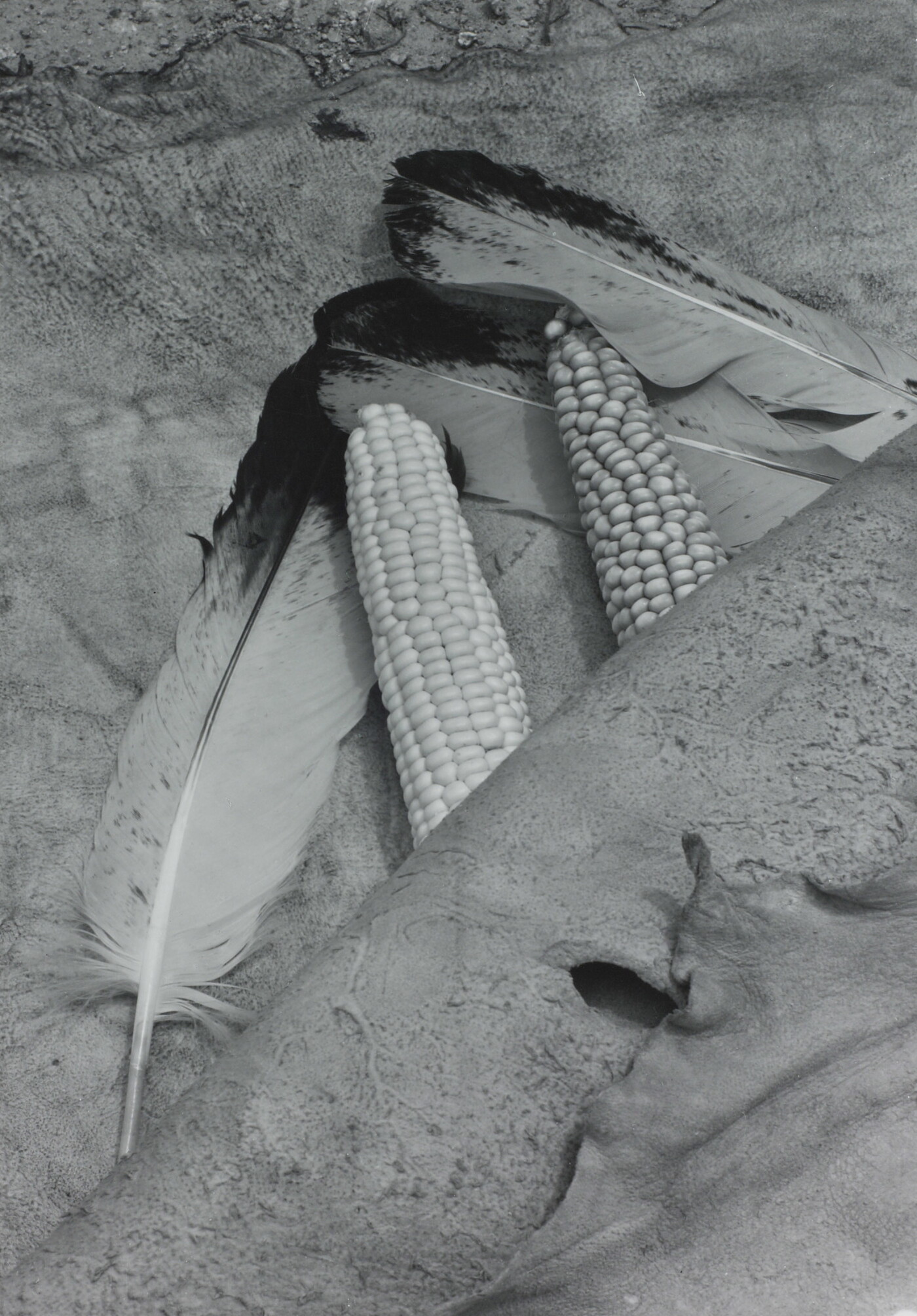 Illustration for the Navaho Creation Myth | Amon Carter Museum of ...