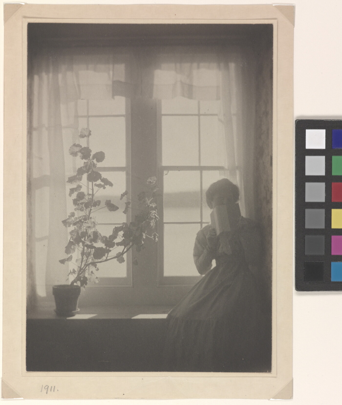 Amy Whittemore at Window - Plant at Left | Amon Carter Museum of ...