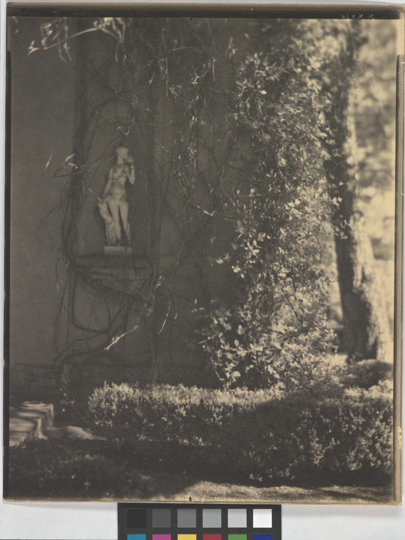 Figure and Ivy, Garden of Carl Milles, Sculptor, Lidingo, Stockholm ...