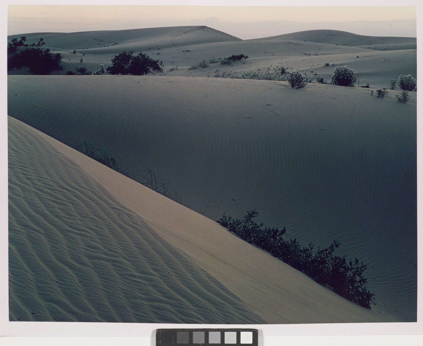 Sand Dunes and Shinoak, Monahans, Ward County | Amon Carter Museum of ...