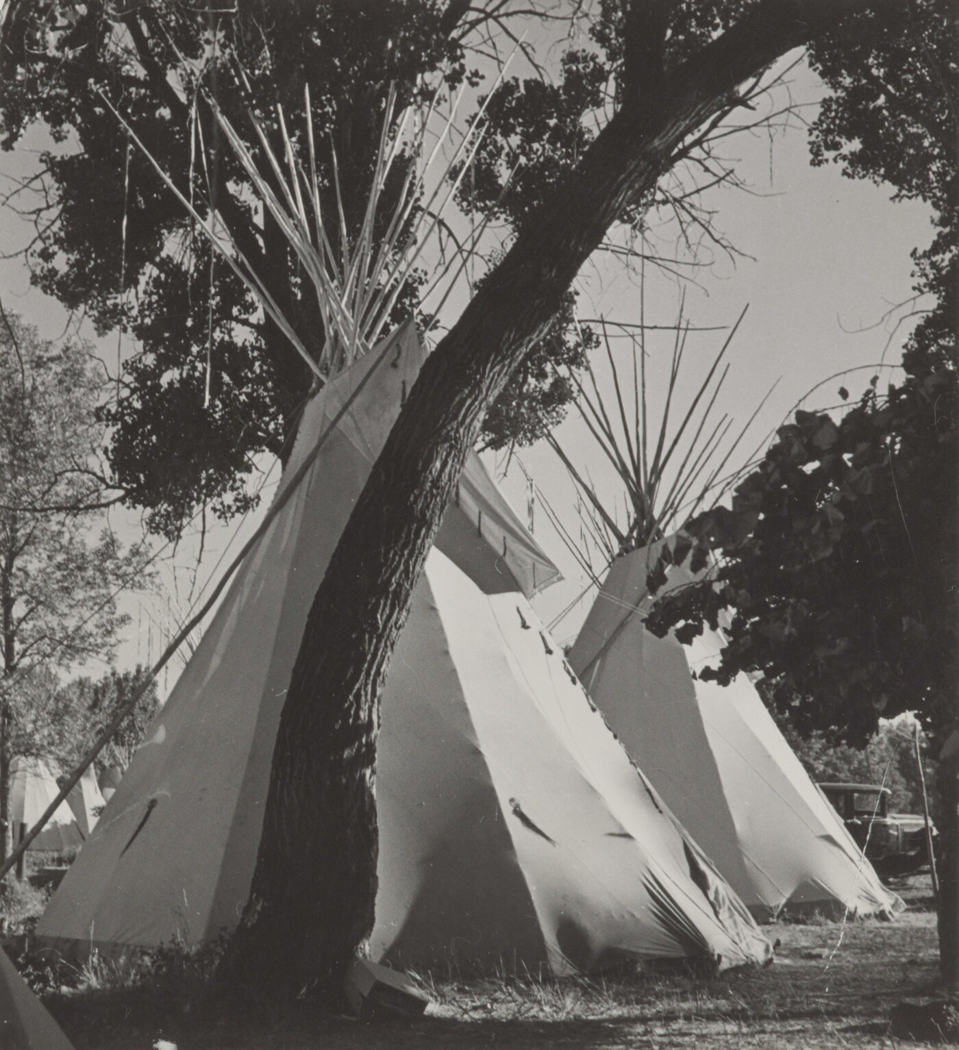[Crow tribe tipi, Montana] | Amon Carter Museum of American Art