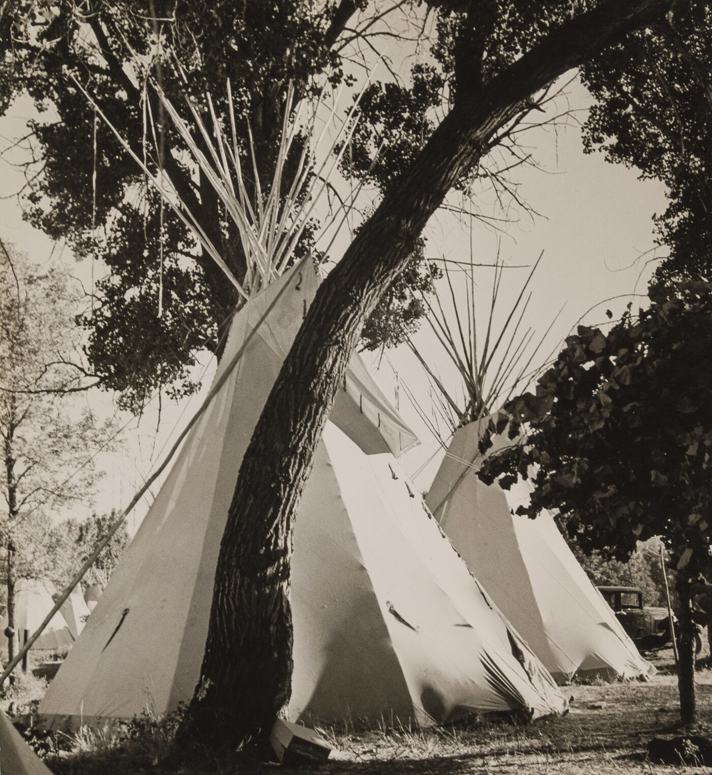Amy's Tipi, Crow Fair | Amon Carter Museum of American Art