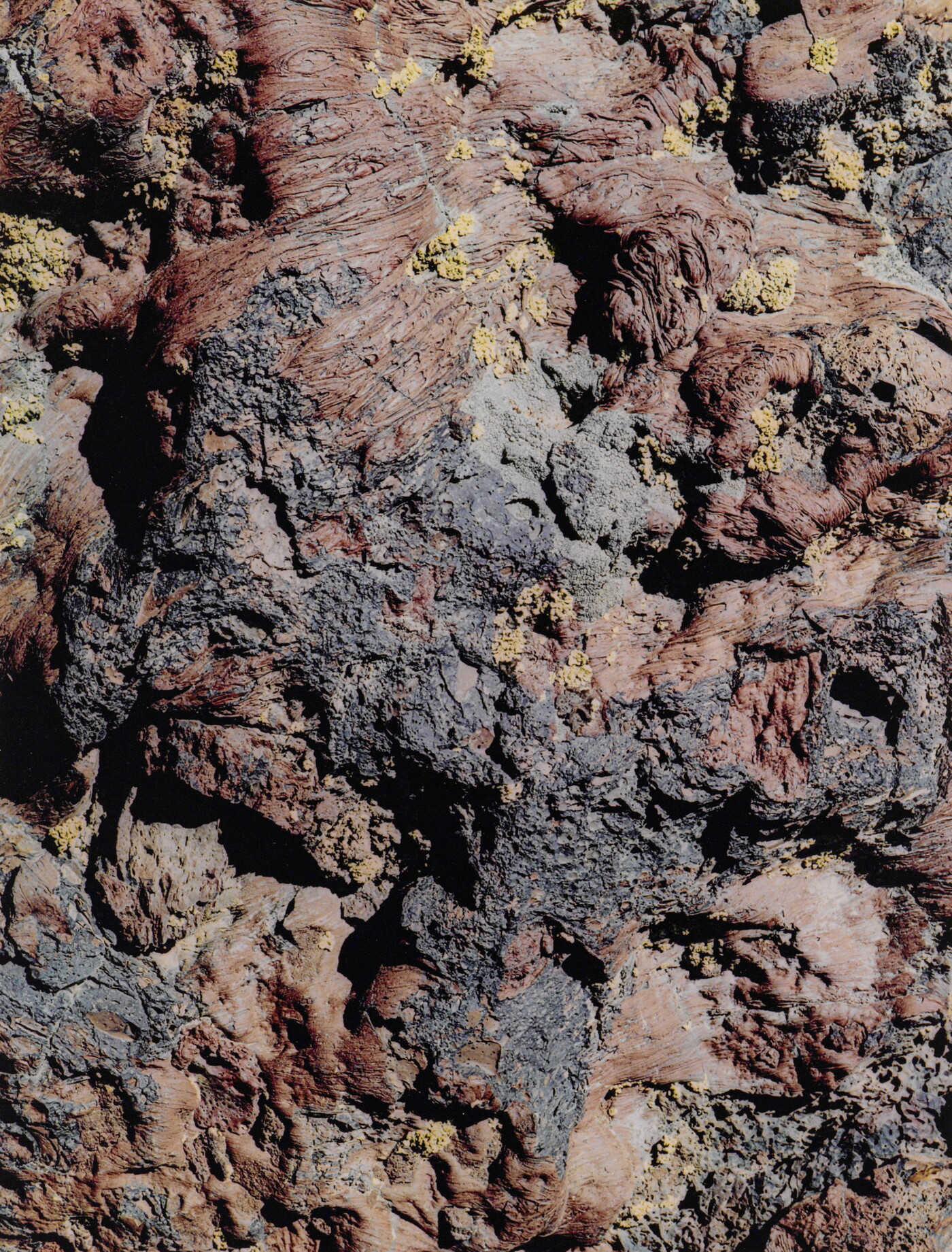 Red and Black Lava with Lichen, Craters of the Moon [National Monument ...