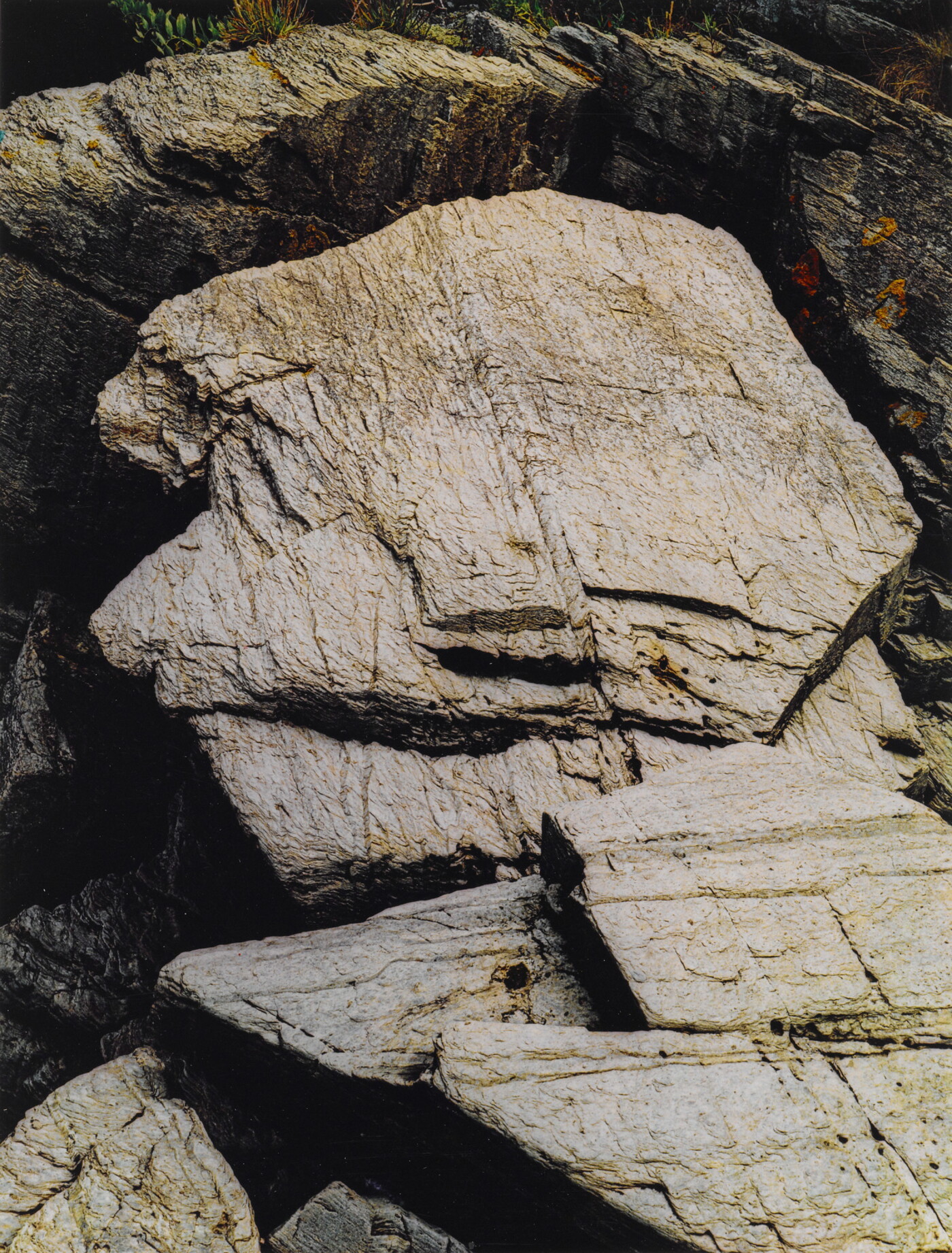 Schist Formation, Pickering Island, Maine, August 5, 1974 | Amon Carter ...