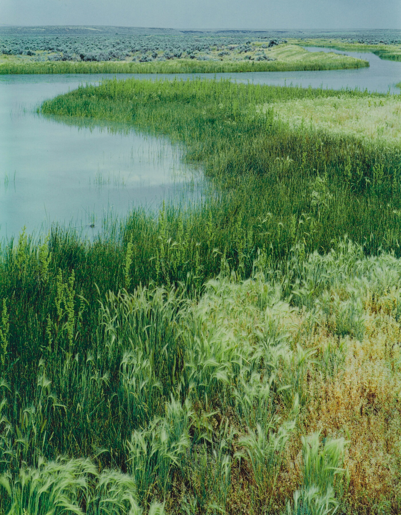 Cow Lakes, near Jordan Valley, Oregon, July 11, 1975 | Amon Carter ...