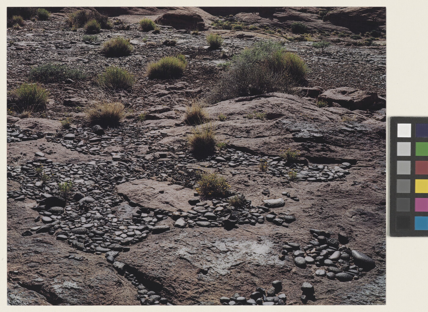 Pebble Pavement, near Aztec Creek, Lake Powell, Utah, May 9, 1965 ...