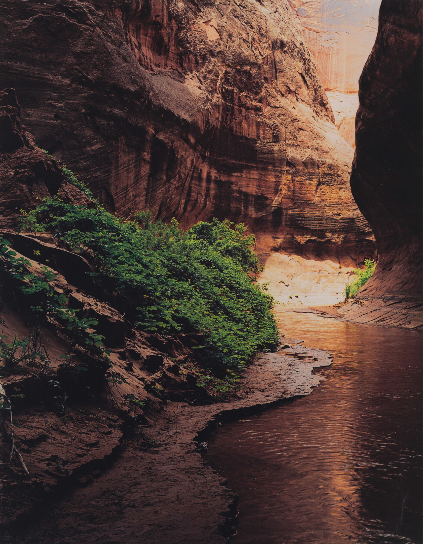 Downstream, Davis Gulch, Escalante River, Lake Powell, Utah, May 12 ...