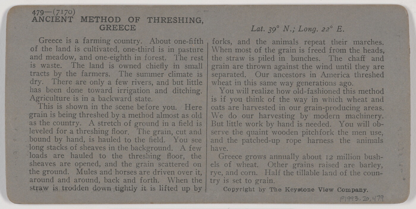 Treading out the Grain, Threshing as in Olden Days, Greece. | Amon ...
