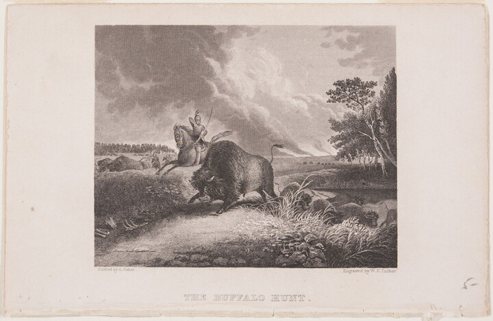 Alvan Fisher | Amon Carter Museum of American Art