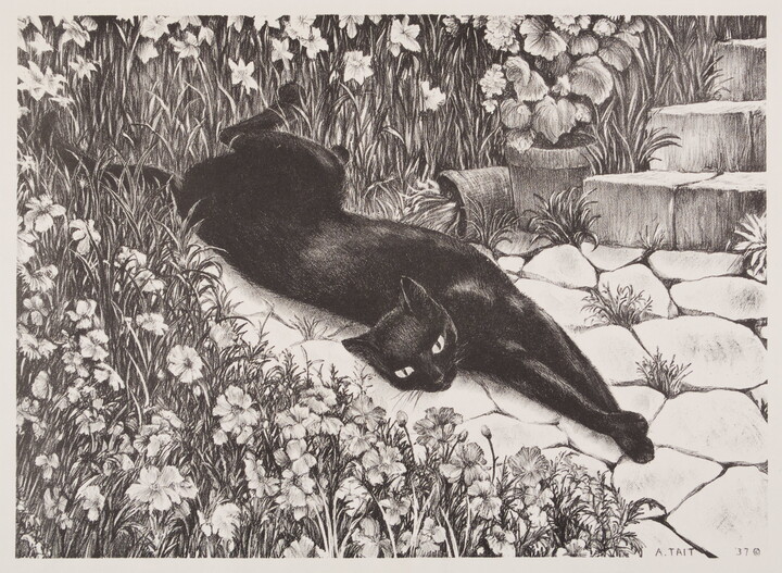 Agnes Tait | Amon Carter Museum of American Art