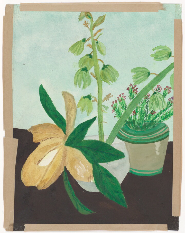 Sweetie Ladd | Amon Carter Museum of American Art